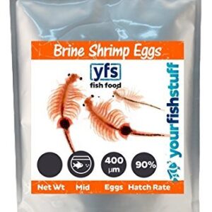 Brine Shrimp Eggs 50 Gramm (Artemia Cysts) of 90% Hatch Rate Fish Food