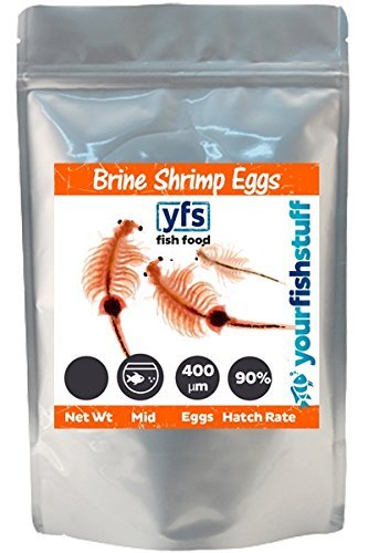 Brine Shrimp Eggs 50 Gramm (Artemia Cysts) of 90% Hatch Rate Fish Food