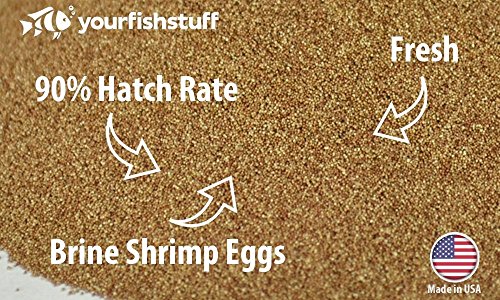 Brine Shrimp Eggs 50 Gramm (Artemia Cysts) of 90% Hatch Rate Fish Food