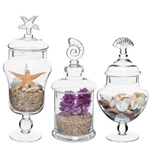 mygift clear glass apothecary jars with lid, decorative seashell design bathroom canister, footed candy buffet containers, set of 3