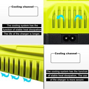 P117 Battery Charger Compatible with Ryobi 18V Battery Charger for Dual Chemistry 9.6V-18V Charger Li-ion Ni-Cd Ni-Mh Plus Battery P100 P102 P103 P105 P107 P108 P118 P200 1400670