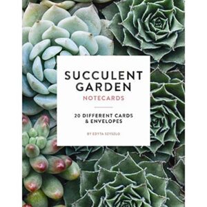 succulent garden notecards: 20 different cards and envelopes (blank nature cards, botanical cards)