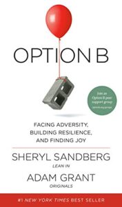 option b: facing adversity, building resilience, and finding joy