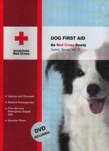 dog first aid