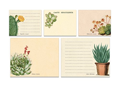 Cavallini Papers Cavallini Sticky Notes Succulents