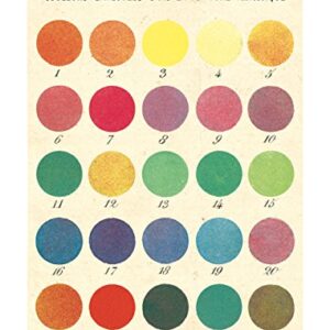 Cavallini Papers & Co., Inc. Color Wheel Mini Notebooks 4 x 5.5