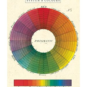 Cavallini Papers & Co., Inc. Color Wheel Mini Notebooks 4 x 5.5