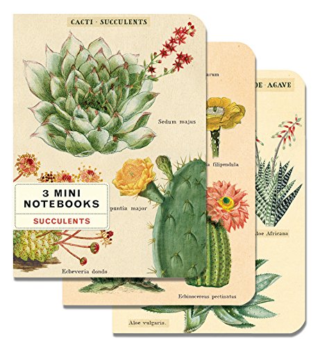 Cavallini Papers & Co., Inc. Succulents Mini Notebooks 4 x 5.5