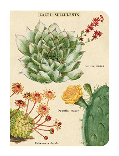 Cavallini Papers & Co., Inc. Succulents Mini Notebooks 4 x 5.5