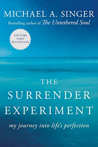 The Surrender Experiment: My Journey into Life's Perfection