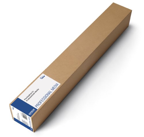 Epson Enhanced Matte 24-Inch x 100-Feet Photo Paper (S041595),White