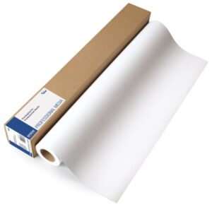 Epson Enhanced Matte 24-Inch x 100-Feet Photo Paper (S041595),White