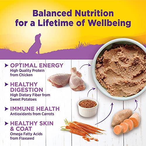 Wellness Complete Health Natural Wet Canned Dog Food, Senior Chicken & Sweet Potato, 12.5-Ounce Can (Pack of 12)