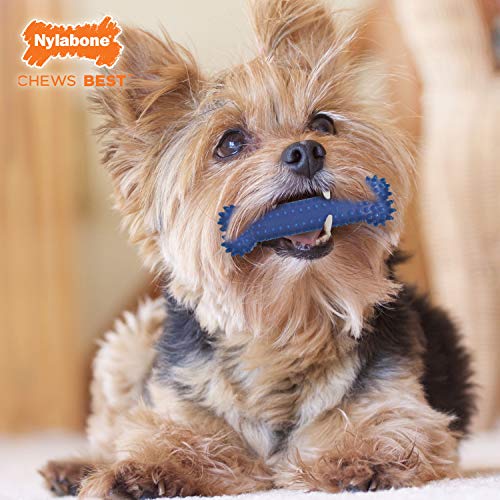 Nylabone Moderate Chew FlexiChew Dental Chew Toy Chicken Small/Regular (1 Count)