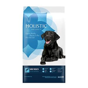 holistic select natural dry dog food, anchovy & sardine and salmon meal recipe, 30-pound bag, seafood