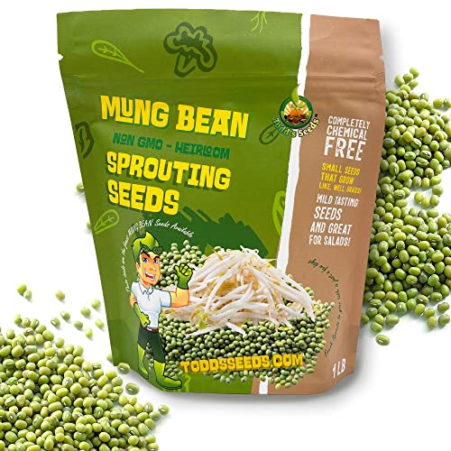 Todd’s Seeds - Mung Bean Sprouting Seed - Mung Bean Seeds - Chinese Green Bean - 1 Pound Bulk Seeds