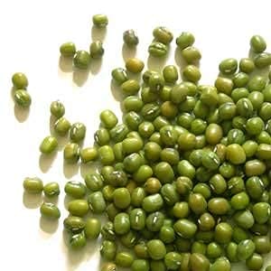 Todd’s Seeds - Mung Bean Sprouting Seed - Mung Bean Seeds - Chinese Green Bean - 1 Pound Bulk Seeds