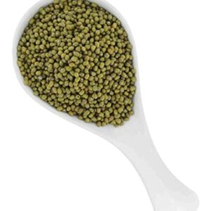 Todd’s Seeds - Mung Bean Sprouting Seed - Mung Bean Seeds - Chinese Green Bean - 1 Pound Bulk Seeds