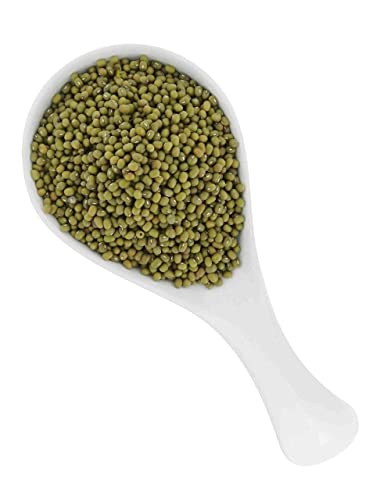 Todd’s Seeds - Mung Bean Sprouting Seed - Mung Bean Seeds - Chinese Green Bean - 1 Pound Bulk Seeds