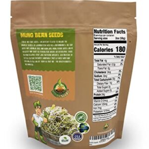 Todd’s Seeds - Mung Bean Sprouting Seed - Mung Bean Seeds - Chinese Green Bean - 1 Pound Bulk Seeds