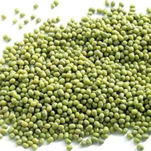 Todd’s Seeds - Mung Bean Sprouting Seed - Mung Bean Seeds - Chinese Green Bean - 1 Pound Bulk Seeds