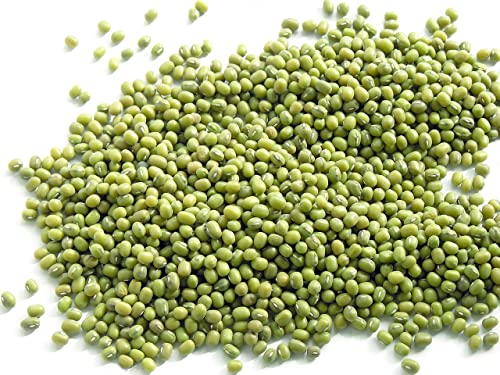 Todd’s Seeds - Mung Bean Sprouting Seed - Mung Bean Seeds - Chinese Green Bean - 1 Pound Bulk Seeds