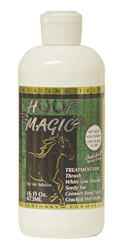 Healing Tree Products HUUF MAGIC-850 Huuf Magic Thrush Antiseptic, 16 oz