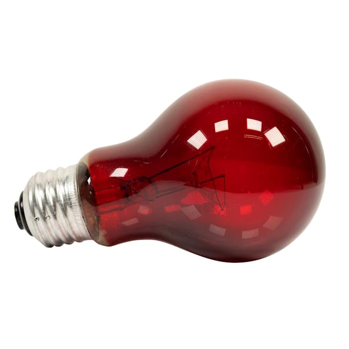 Zoo Med Nightlight Red Reptile Bulb, 40 Watts