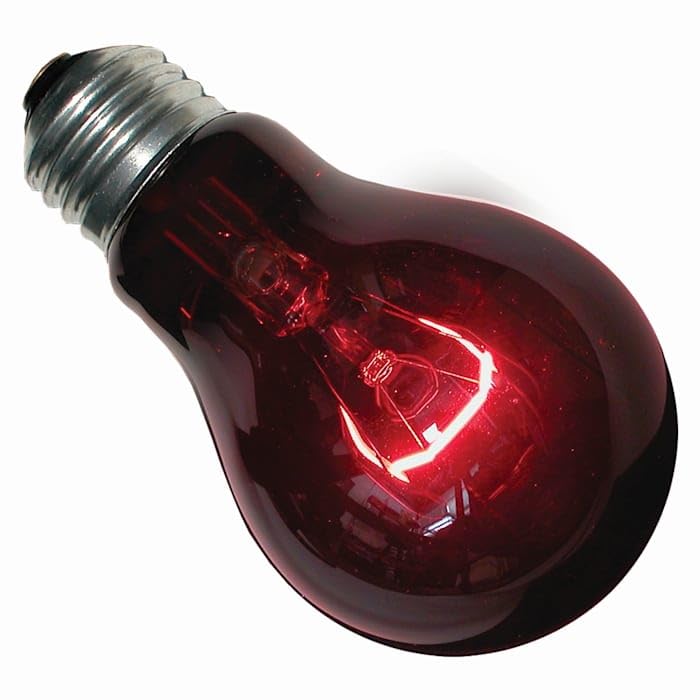 Zoo Med Nightlight Red Reptile Bulb - 60 Watt