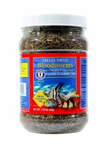 san francisco bay brand freeze dried bloodworms 1.75oz