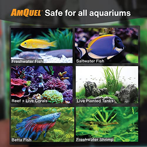 Kordon AMQUEL One-Step Aquarium Water Conditioner - Removes Chlorine & Chloramines Fast, Detoxifies Ammonia, for Freshwater & Saltwater Aquariums, 16-Ounces