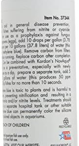 Kordon Methylene Blue Disease Preventative – Safe for Freshwater & Saltwater Aquariums, Prevents Fungal Infections & Treats Parasites, Reduces Fish Stress, 4-Ounces