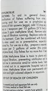 Kordon Methylene Blue Disease Preventative – Safe for Freshwater & Saltwater Aquariums, Prevents Fungal Infections & Treats Parasites, Reduces Fish Stress, 4-Ounces