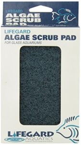 lifegard aquatics 4-inch by 6-inch blue algae pad,black