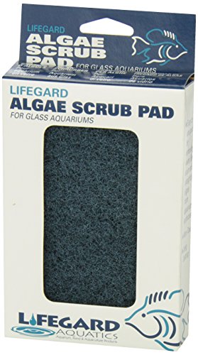 Lifegard Aquatics 4-Inch by 6-Inch Blue Algae Pad,Black