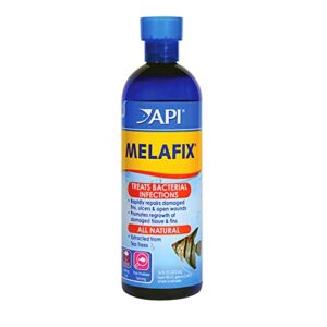 api melafix freshwater fish bacterial infection remedy 16-ounce bottle