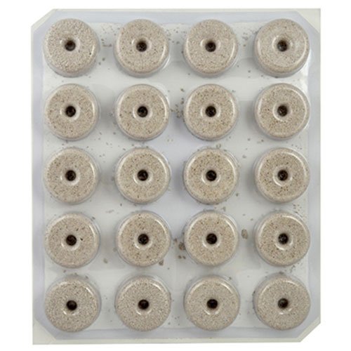 Summit 20-Pack Mosquito Dunk Tablet