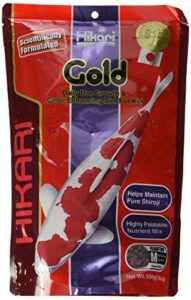 hikari usa inc ahk02342 gold 17.6-ounce, medium