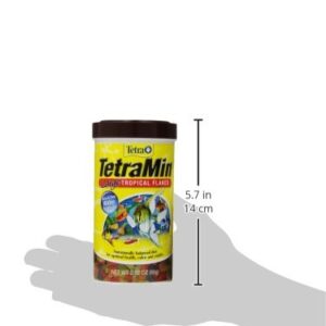 Tetra TetraMin XL Tropical Flakes 2.82 Ounces, Large Flakes, Nutritionally Balanced Fish Food, Tetra TetraMin Large Tropical Fish Flake Food, 2.82 oz