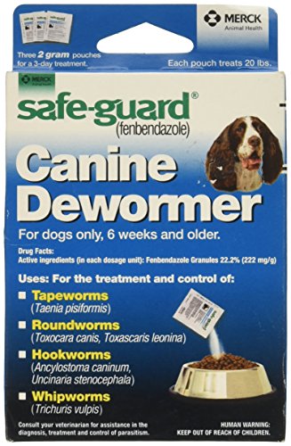 SAFE-GUARD (fenbendazole) Canine Dewormer for Dogs, 2gm pouch (ea. pouch treats 20lbs.), Blue, 0.07 Ounce (Pack of 3) (033576/001-033576)