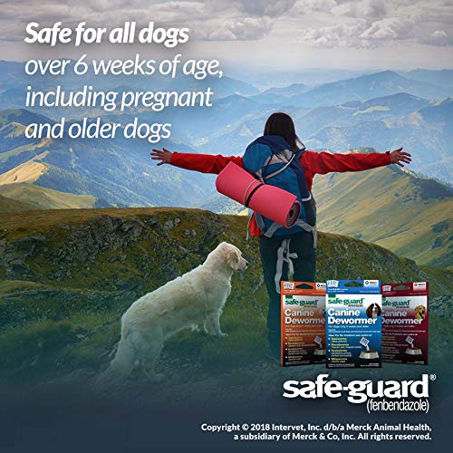 SAFE-GUARD (fenbendazole) Canine Dewormer for Dogs, 2gm pouch (ea. pouch treats 20lbs.), Blue, 0.07 Ounce (Pack of 3) (033576/001-033576)