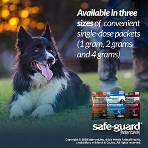 SAFE-GUARD (fenbendazole) Canine Dewormer for Dogs, 2gm pouch (ea. pouch treats 20lbs.), Blue, 0.07 Ounce (Pack of 3) (033576/001-033576)