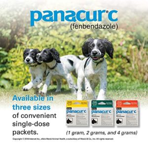 Panacur C Canine Dewormer (fenbendazole), 2 gram,White