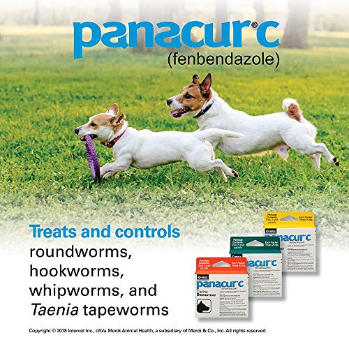 Panacur C Canine Dewormer (fenbendazole), 2 gram,White