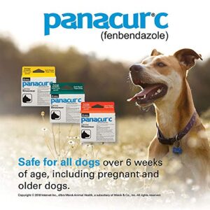 Panacur C Canine Dewormer (fenbendazole), 2 gram,White