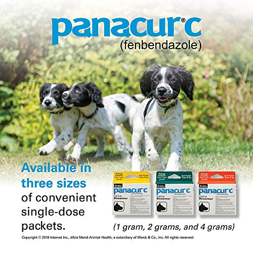 Panacur C Canine Dewormer (Fenbendazole), 4 Gram,Red