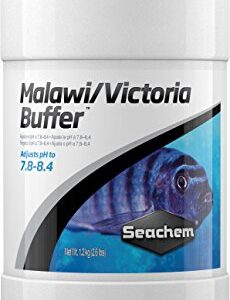 Malawi/Victoria Buffer, 1.2 kg / 2.6 lbs