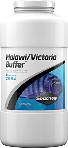 Malawi/Victoria Buffer, 1.2 kg / 2.6 lbs