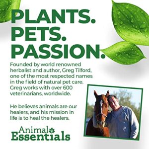 Animal Essentials Plant Enzyme & Probiotics Digestive Supplement for Dogs & Cats, 10.6 oz - Digestion Support