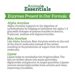 Animal Essentials Plant Enzyme & Probiotics Digestive Supplement for Dogs & Cats, 10.6 oz - Digestion Support